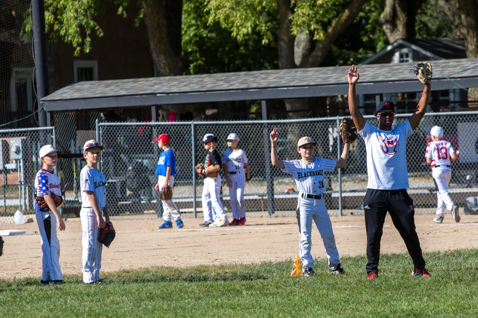 Home - Lincoln Blackhawks Baseball